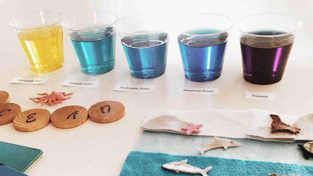 Science Experiments and Activities